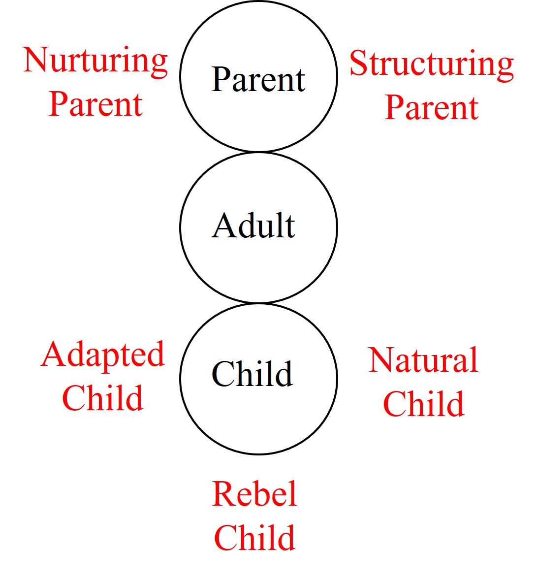 Transactional Analysis | Parent Adult Child | TheDevCo Transactional Analysis | Parent Adult Child | TheDevCo
